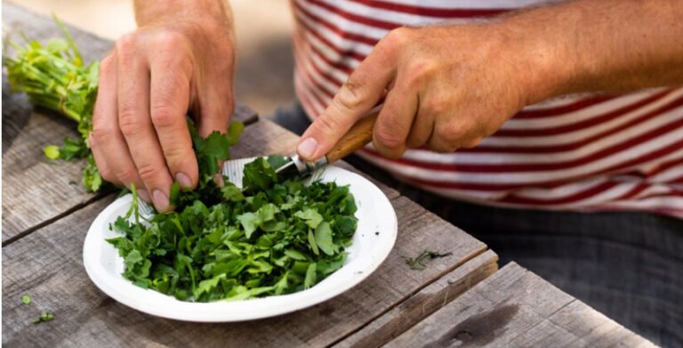 Best Foods and supplements for joints - Life Cease